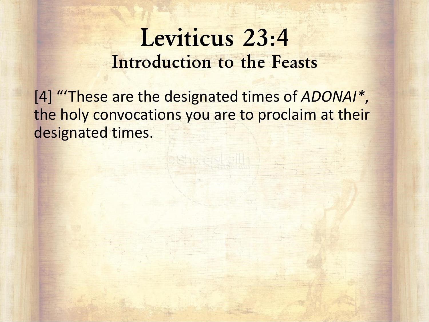 The Jewish Feasts: Part 3, An Overview – The Back of My Mind