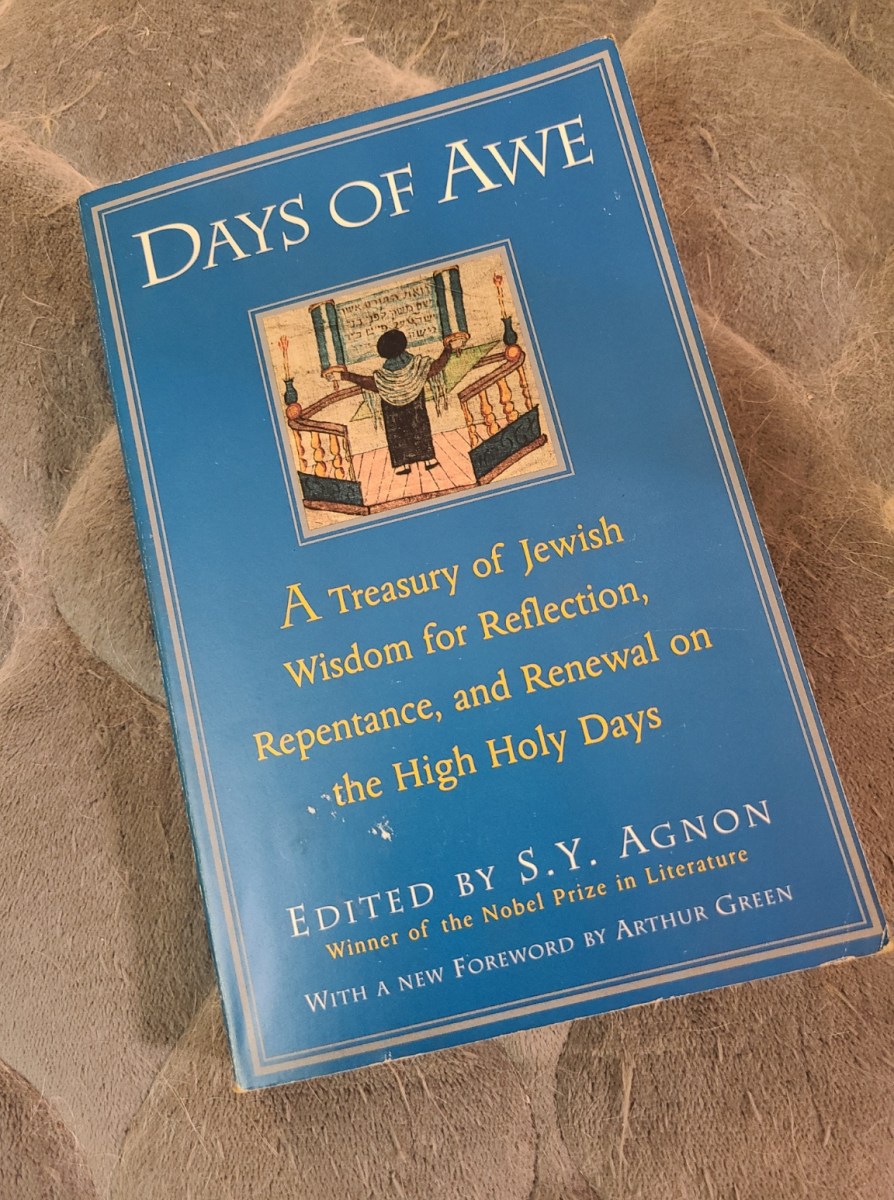 The Two Adams – The Back of My Mind